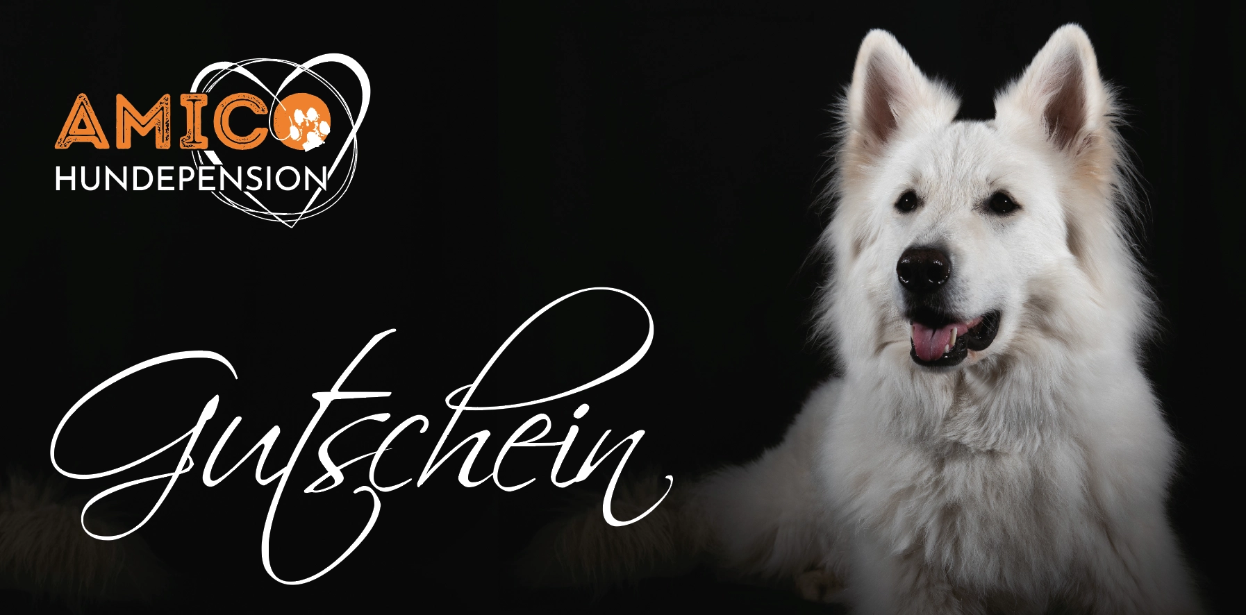 Leistungen | AMICO Hundepension